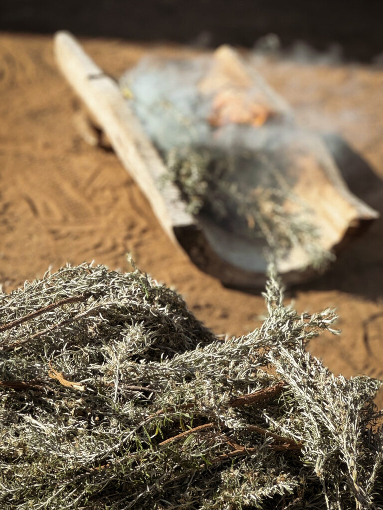 Yitpi Yartapuultiku Cultural Centre: Building a Place for Community and ...